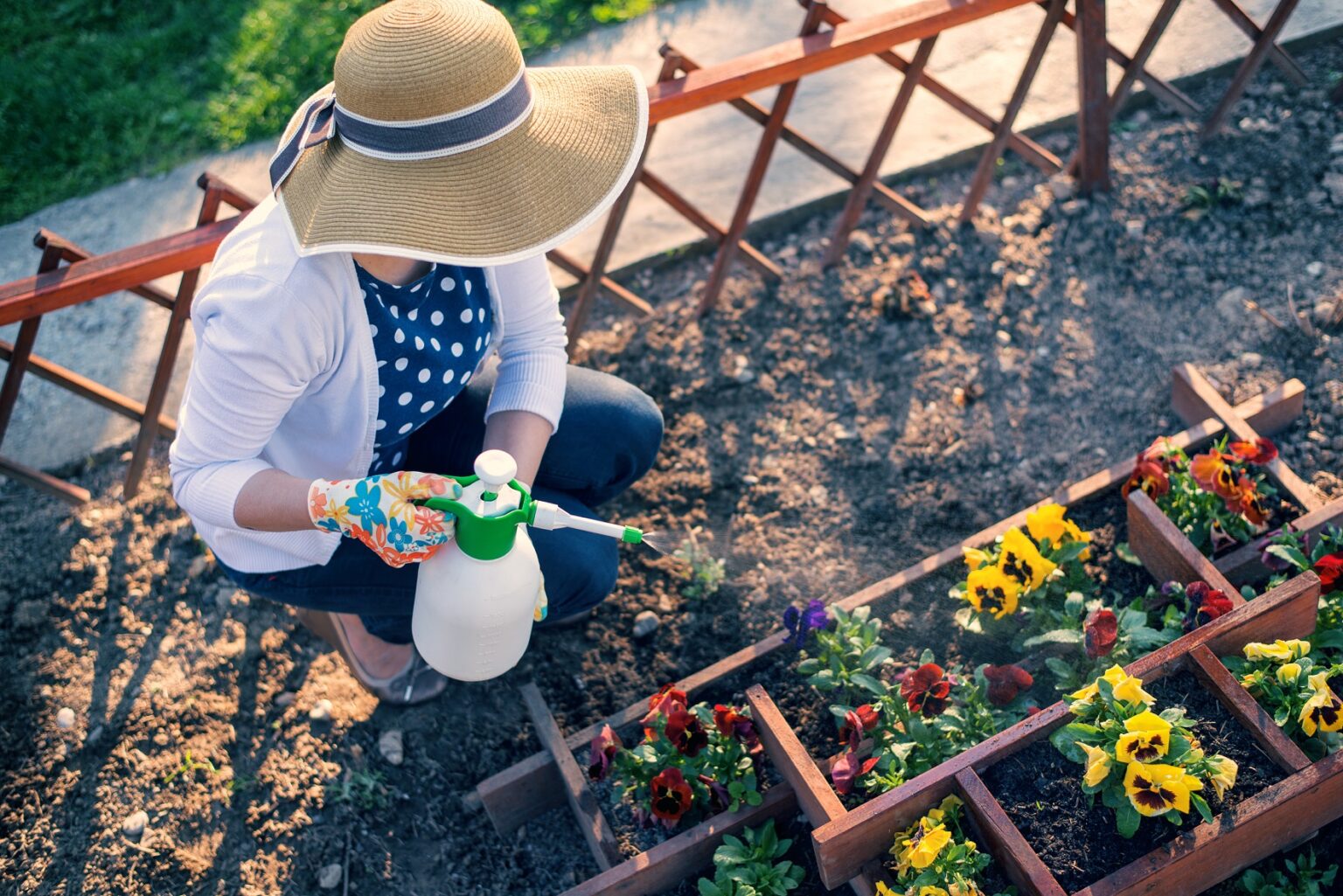 Tips for Garden Planning: What to Work Out in January